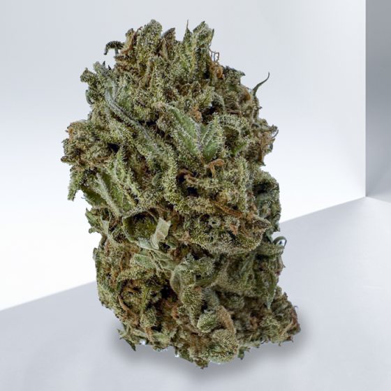 RECON OG - mohawkmedicine.ca